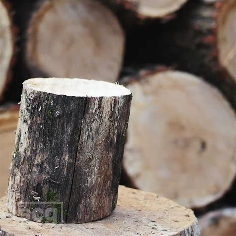 Seibert Consulting Group Oracle Netsuite Shopify Plus Bigcommerce And Klaviyo Partner On