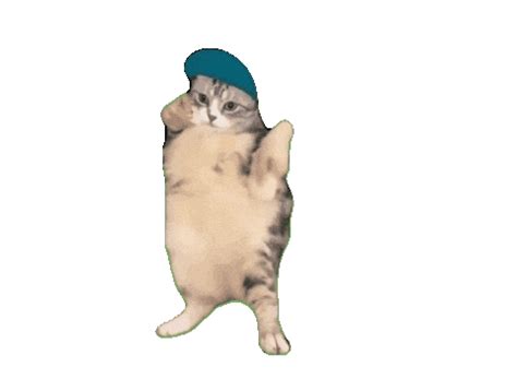 Cat Dance Sticker Cat Dance Dancing Discover And Share S