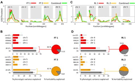 Interval Mapping Results A Qtl Mapping Profiles For Two Independent Download Scientific