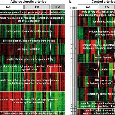 revigo treemap view of go terms enriched among up upper treemaps or