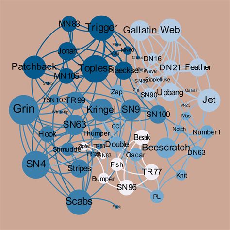 Network Lab Information Visualization