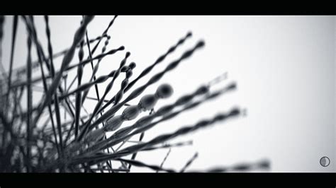 gallery executable graphics