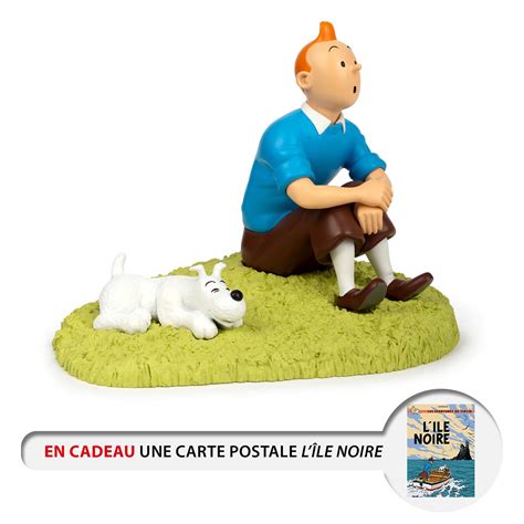 Nouveau Tintin Assis Dans Lherbe