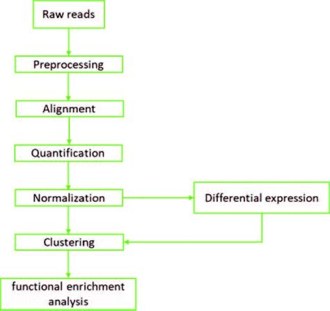 rna seq data analysis workflow download scientific diagram