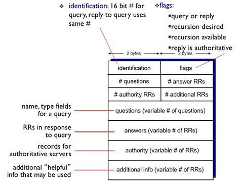 Networking Application Layer Birkhoff Tech Blog