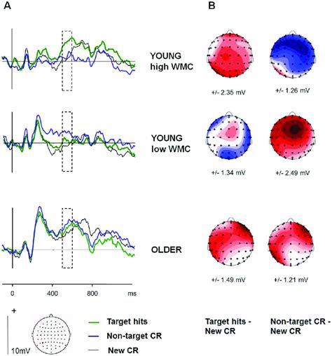 Left Parietal Oldnew Effects A Grand Average Waveforms At The P5