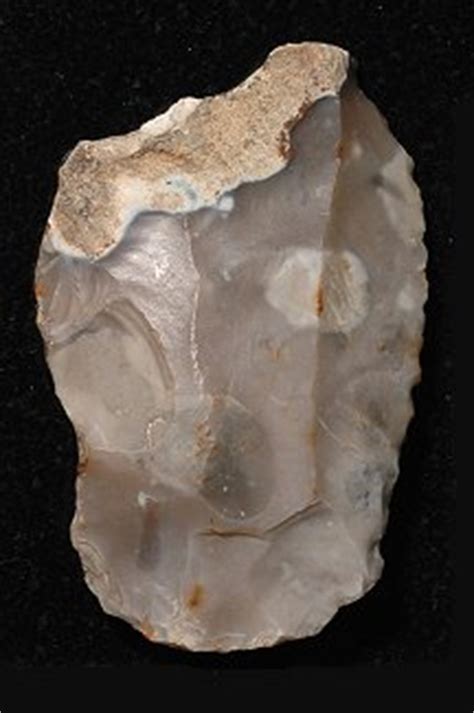 Mesolithic Flint Tools