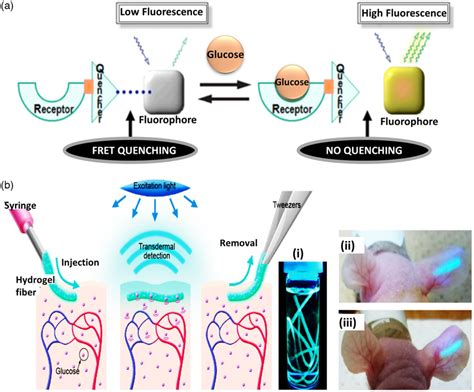 Fluorescent Fiber‐optic Probes A Working Principle Of A Fluorescent Download Scientific