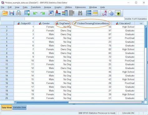 Do Quantitative Data Analysis Using Spss And Smartpls By Ashabirqazi