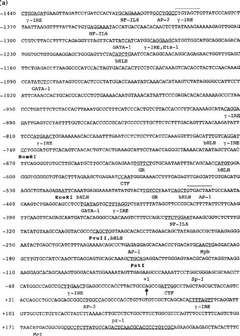 figure 1 from identiﬁcation and characterization of a silencer