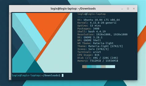 Display System Information On Linux With Neofetch Version 4 0 0