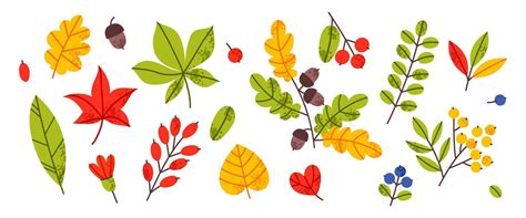 Set Of Fall Leaves 46292946 Vector Art At Vecteezy