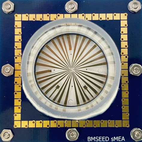 Explore Bmseeds Flexible Stretchable Microelectrode Array Mea