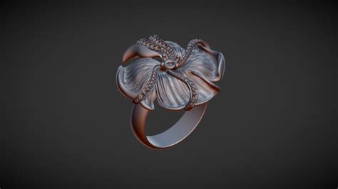 Ring D Model By Kickonster B Fa Sketchfab