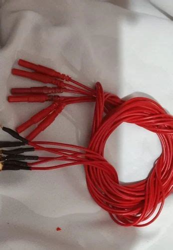 Lead Number 1 Adult Red Lead Eeg Electrode At ₹ 300 Piece In Nagpur Id 2852875980233