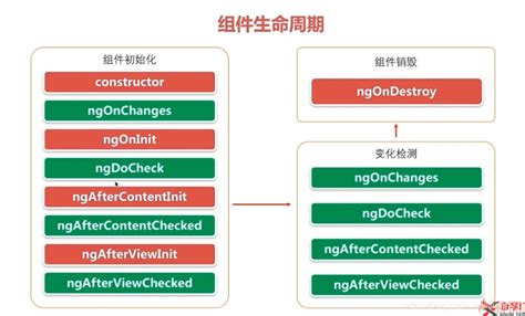 Angular组件生命周期详解 Csdn博客
