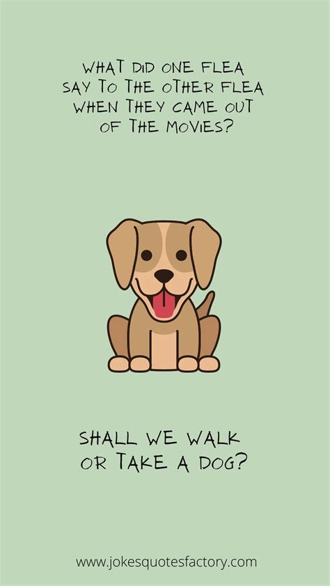 97 Best Funny Animal Jokes In 2023 Funtastic Riddles And Puns Artofit