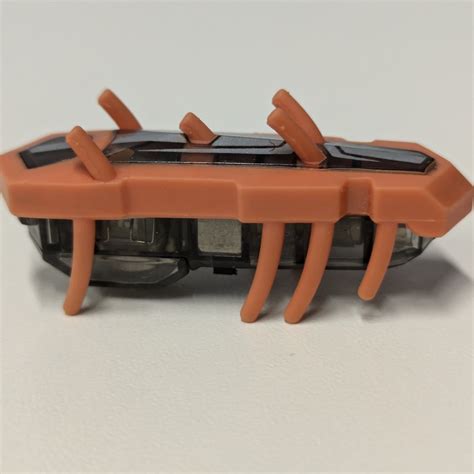 Bug Identification Dataset Kaggle