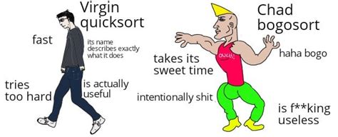 All My Homies Use Bogosort Rprogrammerhumor