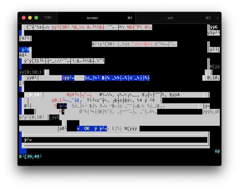 Debian How To Get TUI Apps Showing Up Properly With GNU Screen Unix Linux Stack Exchange