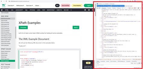 Automation Xpath In Selenium