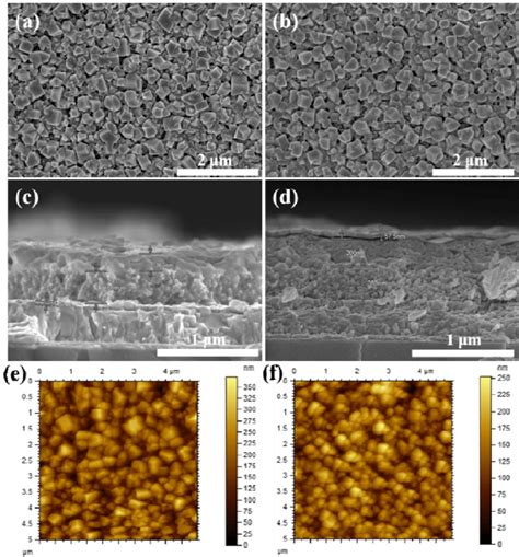 the sem micrograph of mapbi 3 film cross section micrograph of pscs
