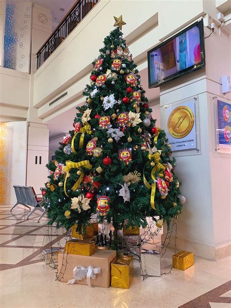 May Ohn Nyunt On Linkedin My Journey With Pun Hlaing Hospital Group Continues A Year Filled