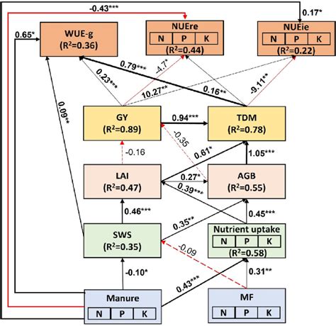 Structural Equation Model Showing The Relationship Between Nutrient