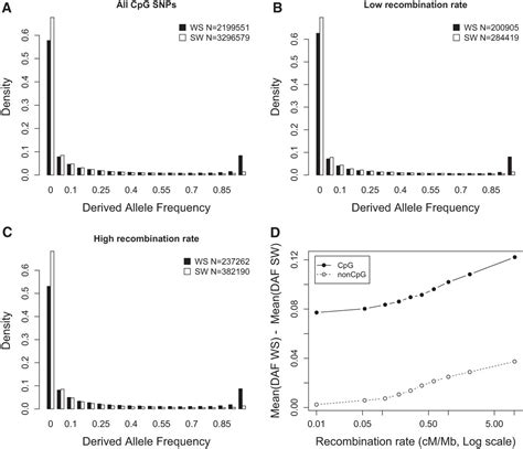 quantification of gc biased gene conversion in the human genome