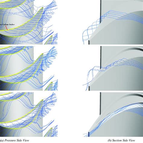 Streamlines In The Tip Region Download Scientific Diagram