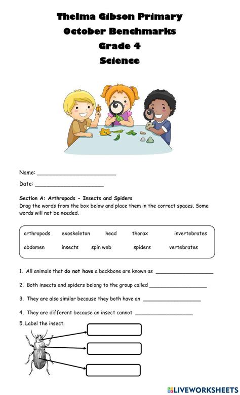 Science Benchmark Worksheet Live Worksheets