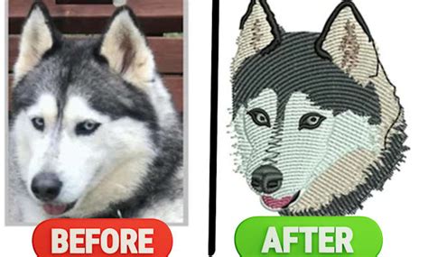 Professionally Digitize Embroidery Designs In Wilcom Dst Pes Exp Emb