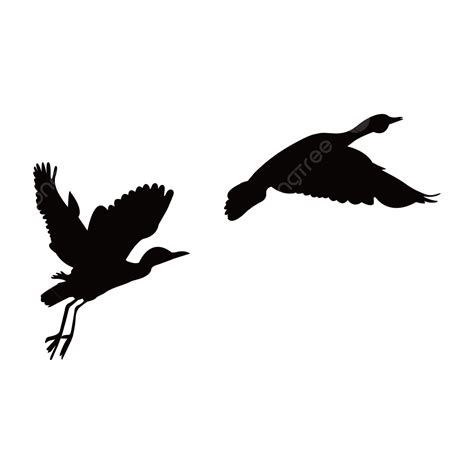 아름다운 나는 새 실루엣 조류 나는 새 실루엣 새 Png 일러스트 및 벡터 에 대한 무료 다운로드 Pngtree