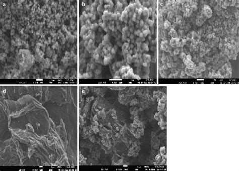 sem of a fe3o4 b fe3o4 sio2 c fe3o4 sio2 nh2 d go and e
