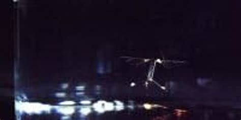 Harvard Lab Develops First Insect Size Robots Capable Of Flight And Swimming Lab Manager