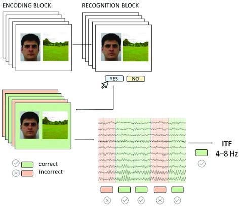 The Am Task Encoding And Recognition Block Was Performed While Eeg Download Scientific