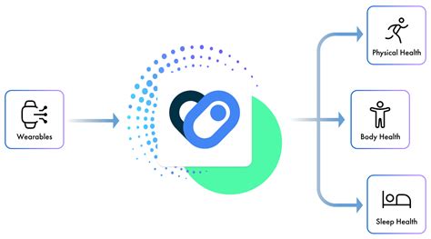 Health Connect Rook Tech Documentation Wearable And Health Data Api Guide