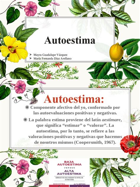 Autoestima Pdf Autoestima Sicología