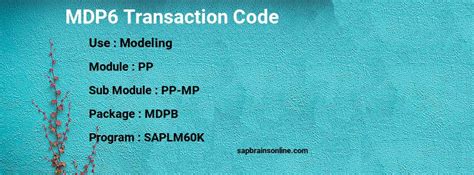 MDP6 SAP Tcode For Modeling