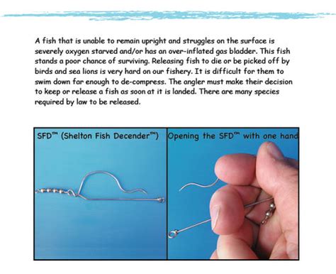 Fish Releasedescender Pacific Edge Tackle