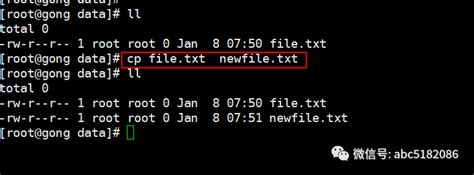 Linux系统如何复制文件 墨天轮 Linux系统如何复制文件 墨天轮