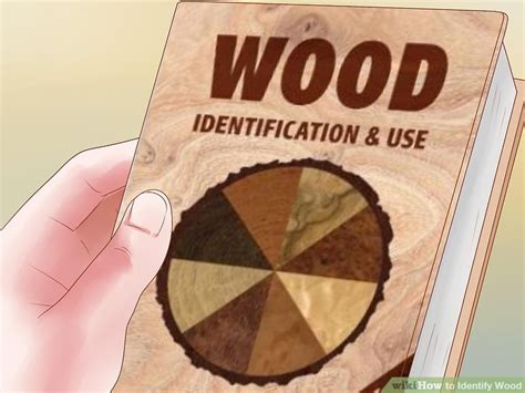 Ways To Identify Wood WikiHow