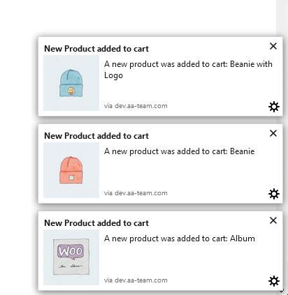 WooCommerce Desktop Push Notifications Plugin WP Solver