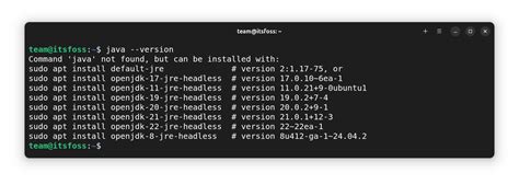 How To Install Java On Ubuntu And Linux Mint Properly