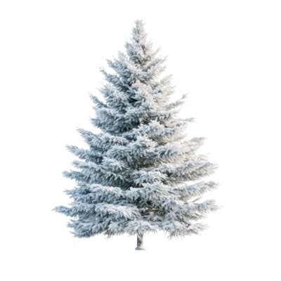 Snow Tree PNGs For Free Download