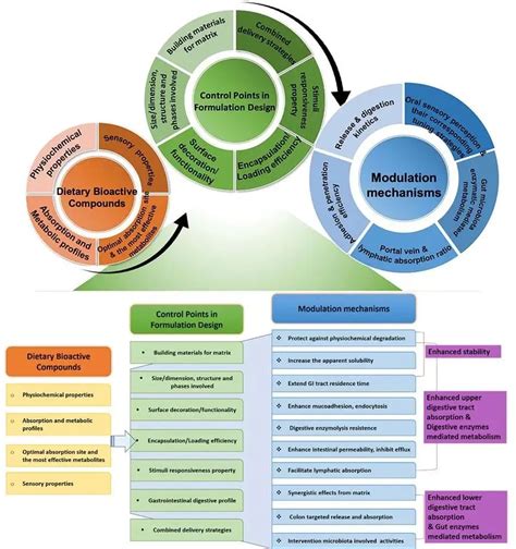 食品加 食品人的学术圈 顶级综述：华南农业大学肖杰教授提出以功能因子健康效应最大化为设计金标准的功能递送体系设计新原理与策略