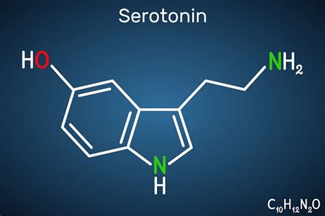 세로토닌 분자 모노아민 신경전달물질 신경조절제 약물 구조 화학식 진한 파란색 배경 벡터 Mental Wellbeing에 대한 스톡 벡터 아트 및 기타 이미지 Istock