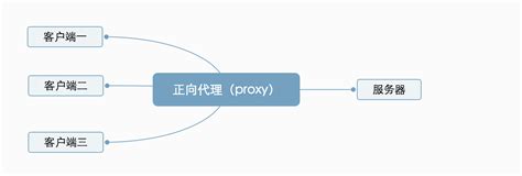 正反向代理（通俗解释） 小酥肉是我 博客园