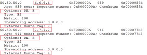 Using Ospf For Dual Site Ha Academy Versa Networks