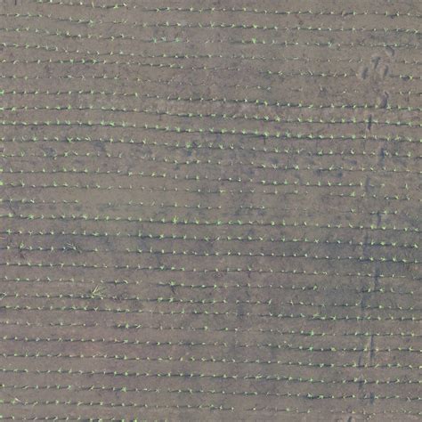 GitHub Aipal Nchu RiceSeedlingDataset A Repository To Open Rice Seedling Dataset